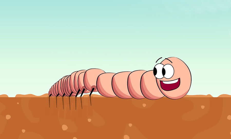 Con Giun khôn ngoan